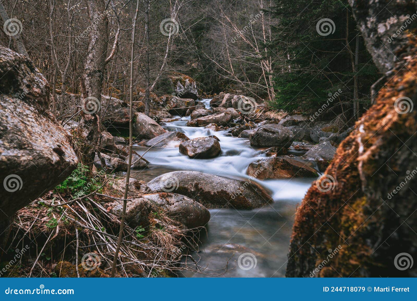 Secret Stream Inside the Forest Stock Image - Image of hiking, colorful ...