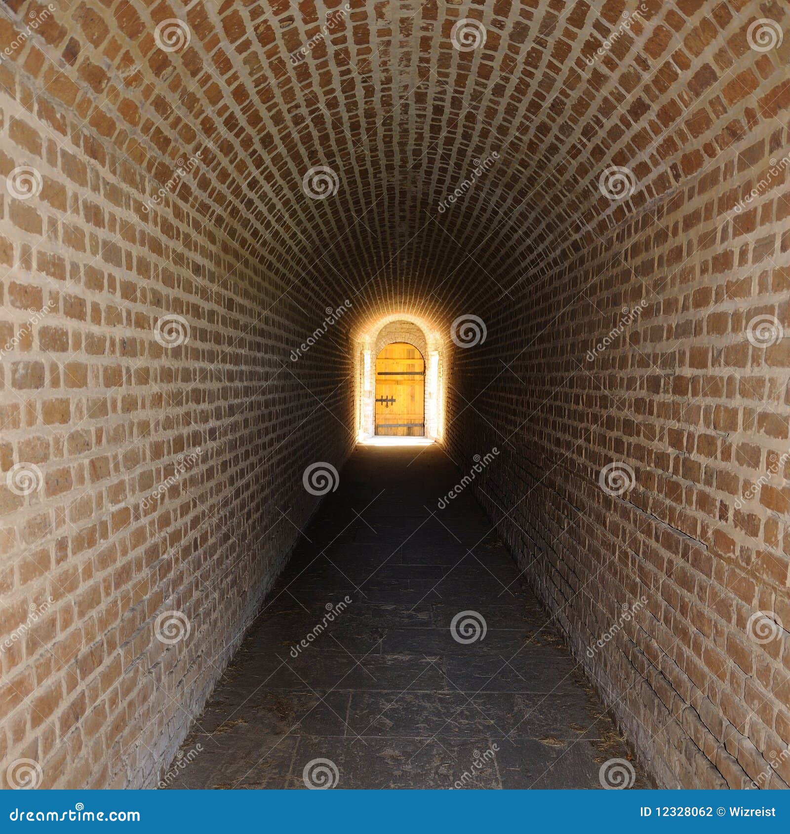 Secret Tunnel Leading To Magic Door Stock Photo - Image of closed ...