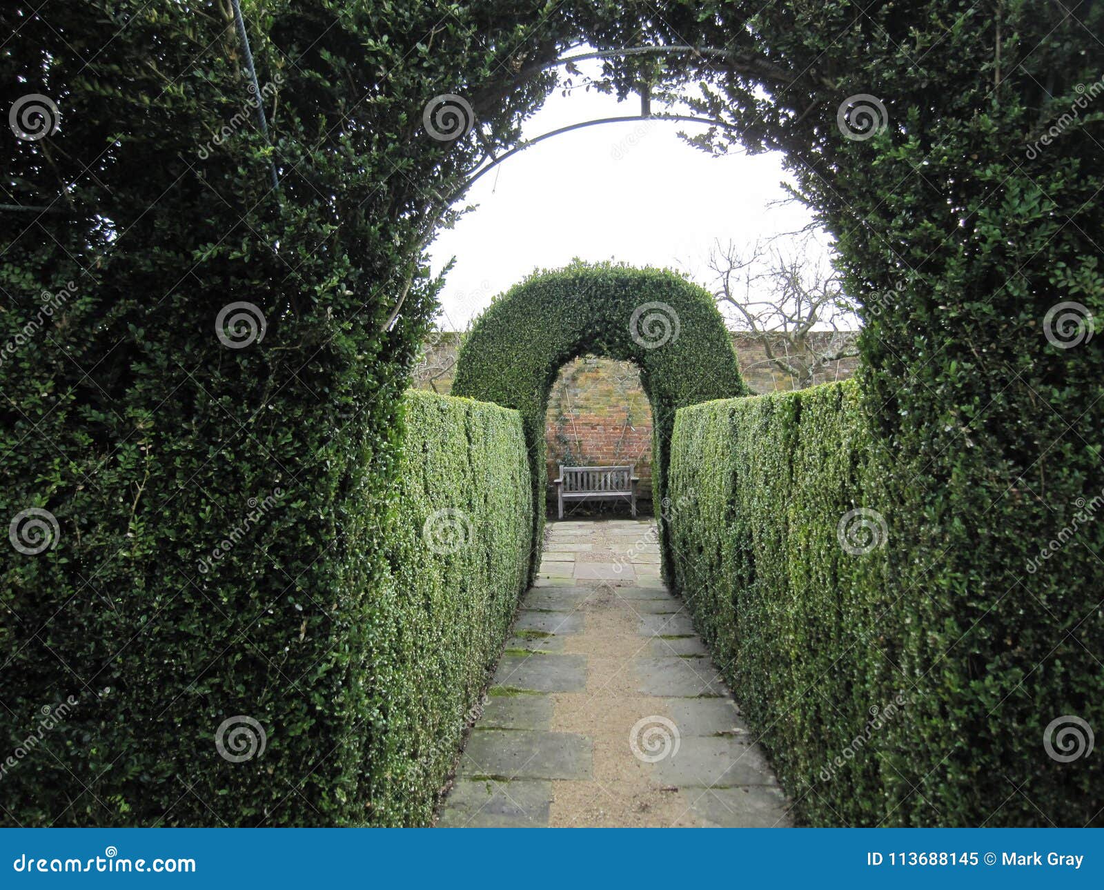 Secret Walkway stock image. Image of secret, garden - 113688145
