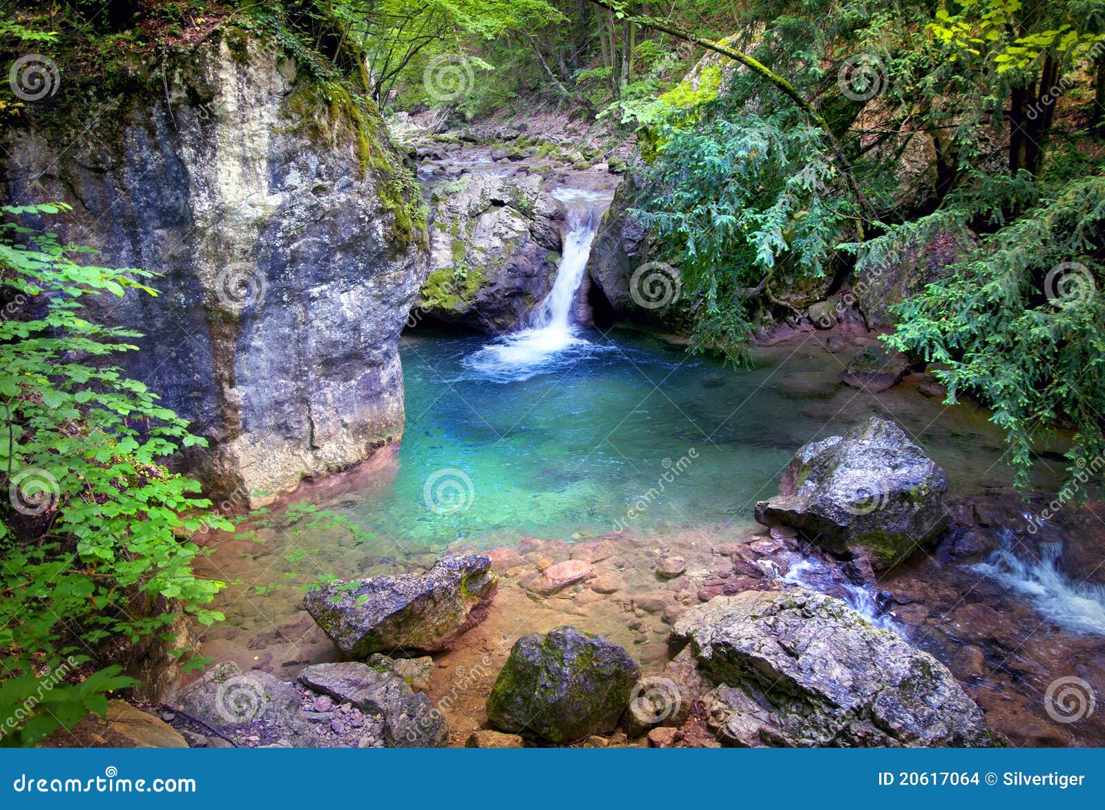 Secret Waterfall in a Jungle Stock Photo - Image of color, bright: 20617064