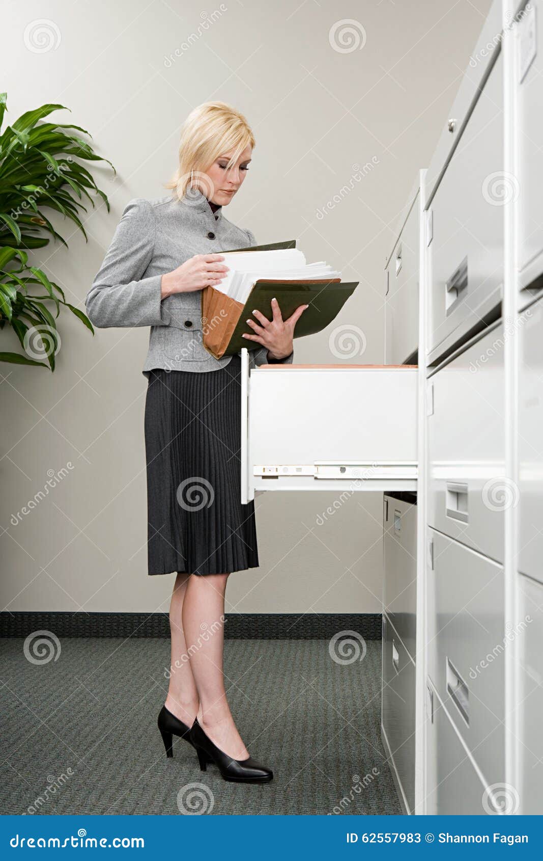 Secretary looking at files stock image. Image of interior - 62557983