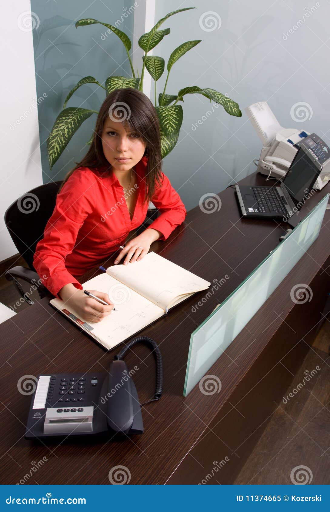 Secretary in the Office stock image. Image of goodlooking - 11374665