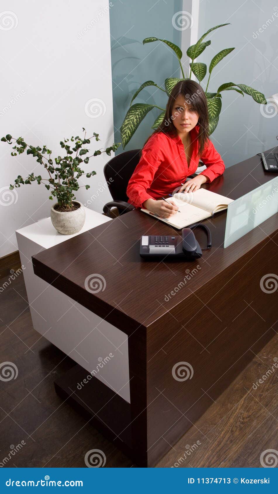 Secretary in the Office stock image. Image of conversation - 11374713