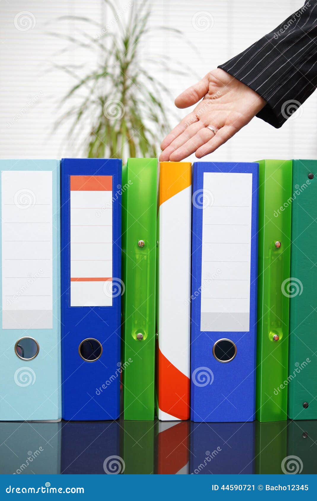 Secretary Shows Well-organized Documentation Stock Image - Image of ...
