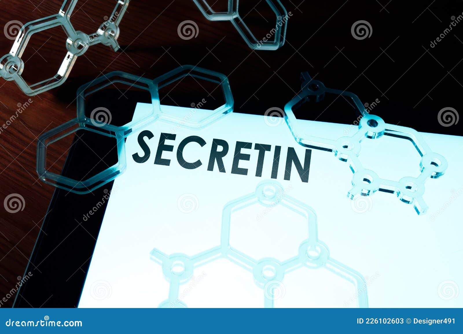Secretin Hormone Info on Tablet and Plastic Models. Stock Image - Image ...
