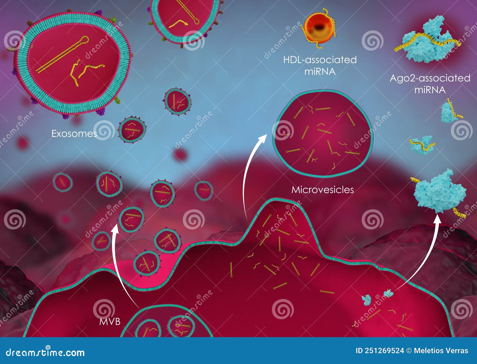 Secretion Cartoons, Illustrations & Vector Stock Images - 2608 Pictures ...