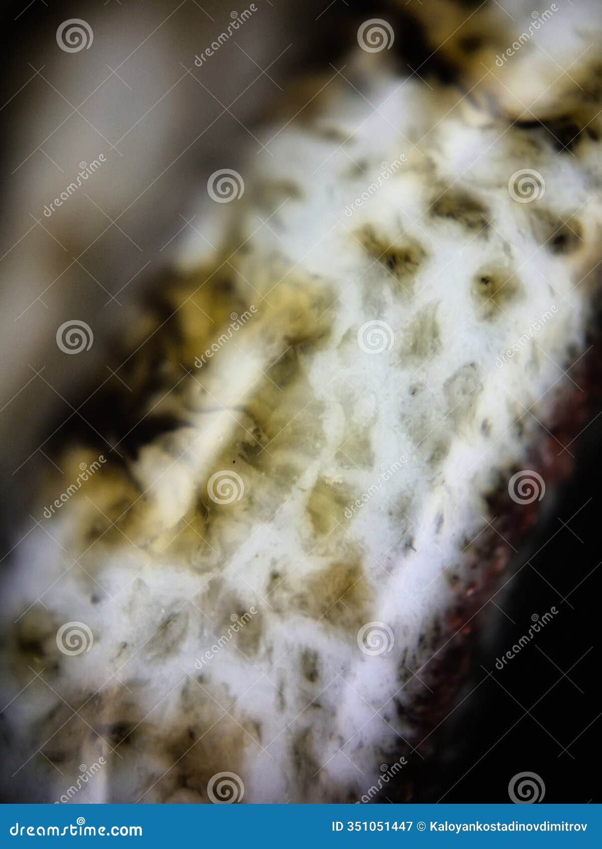 "Secrets of Ceramics: Macro Photography Under the Microscope" Stock ...