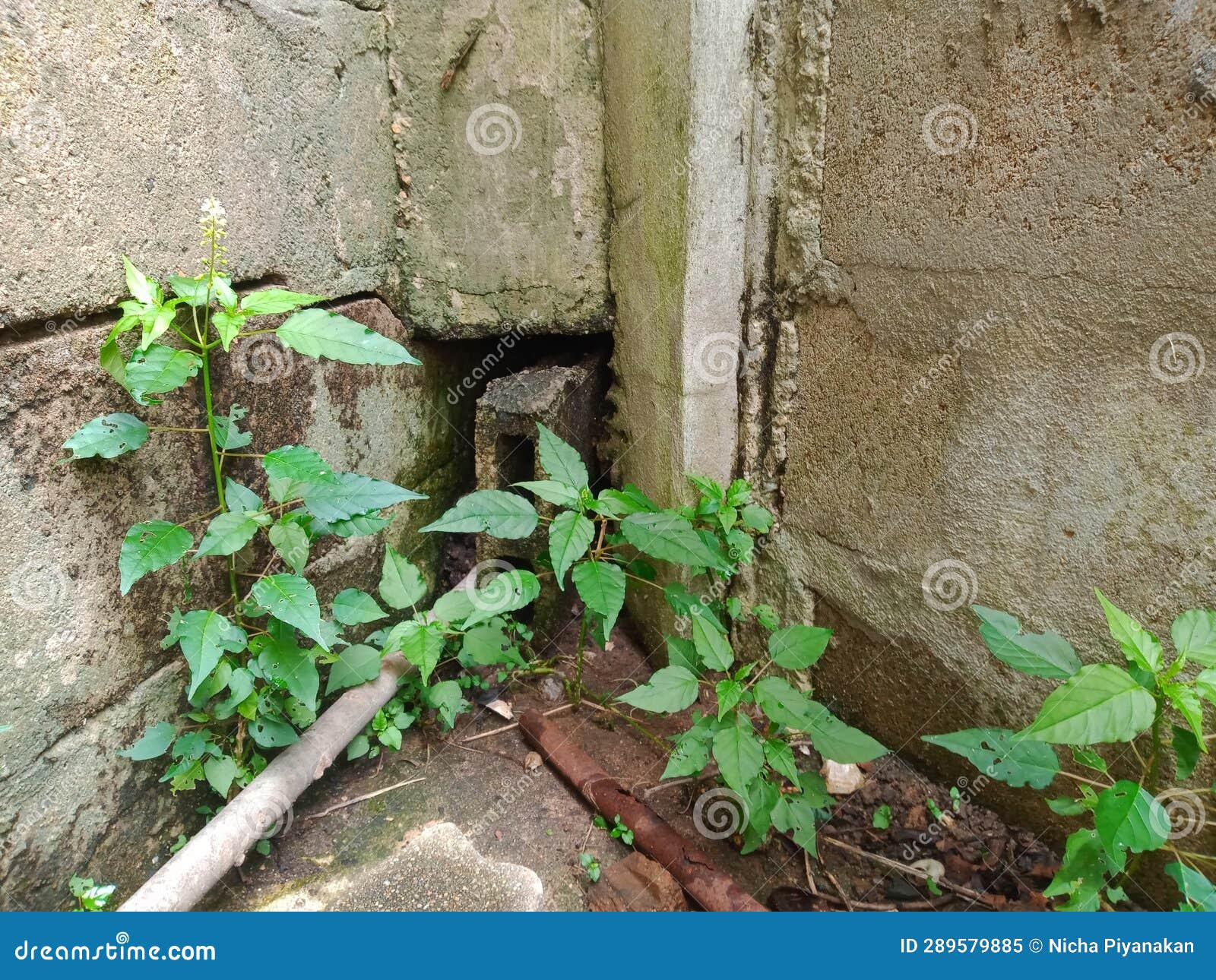 Secrets of Concrete Walls and Hidden Water Pipe. Stock Image - Image of ...