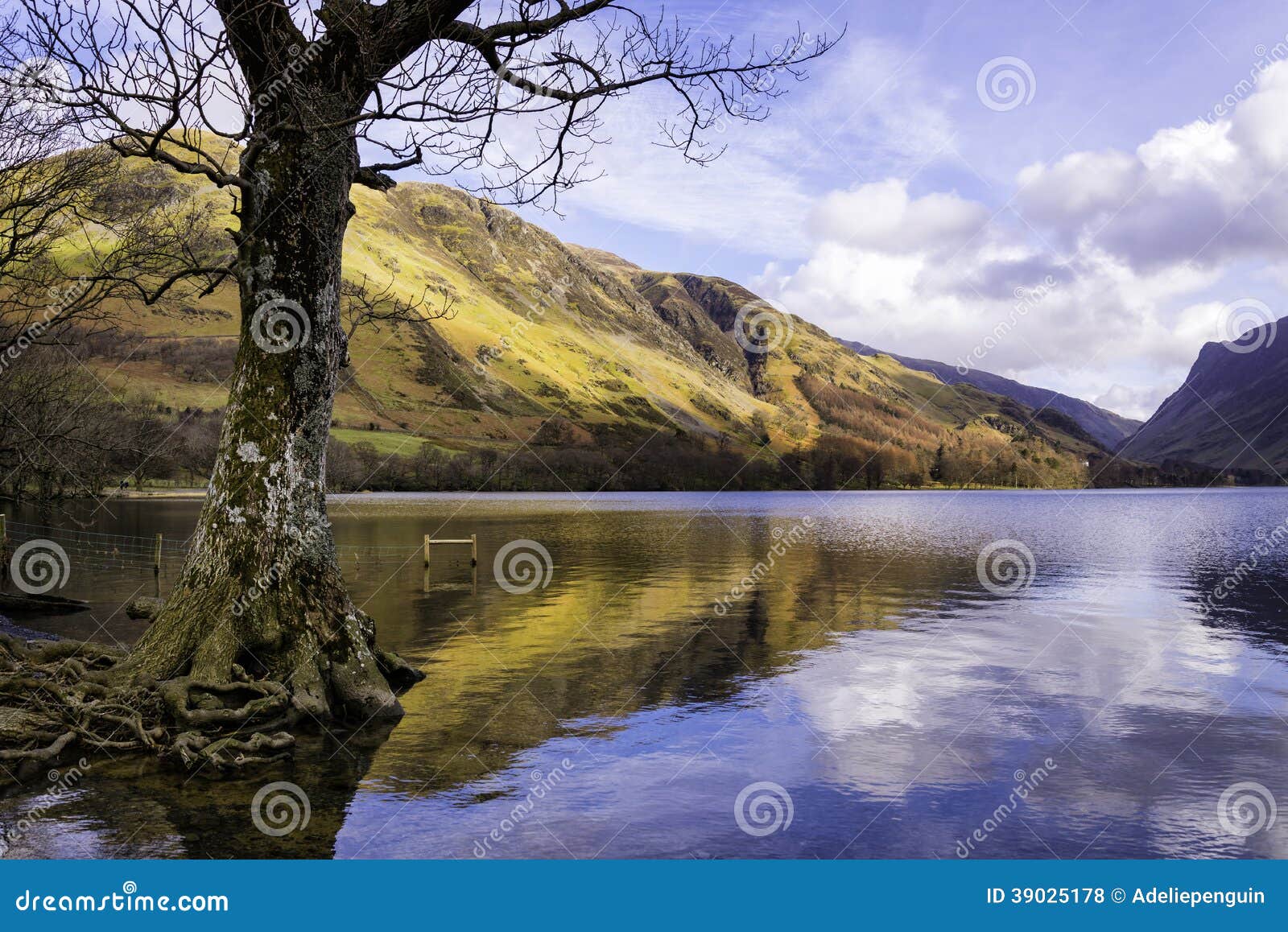 Secteur De Lac Buttermere, Lac, Angleterre Photo stock - Image of ...