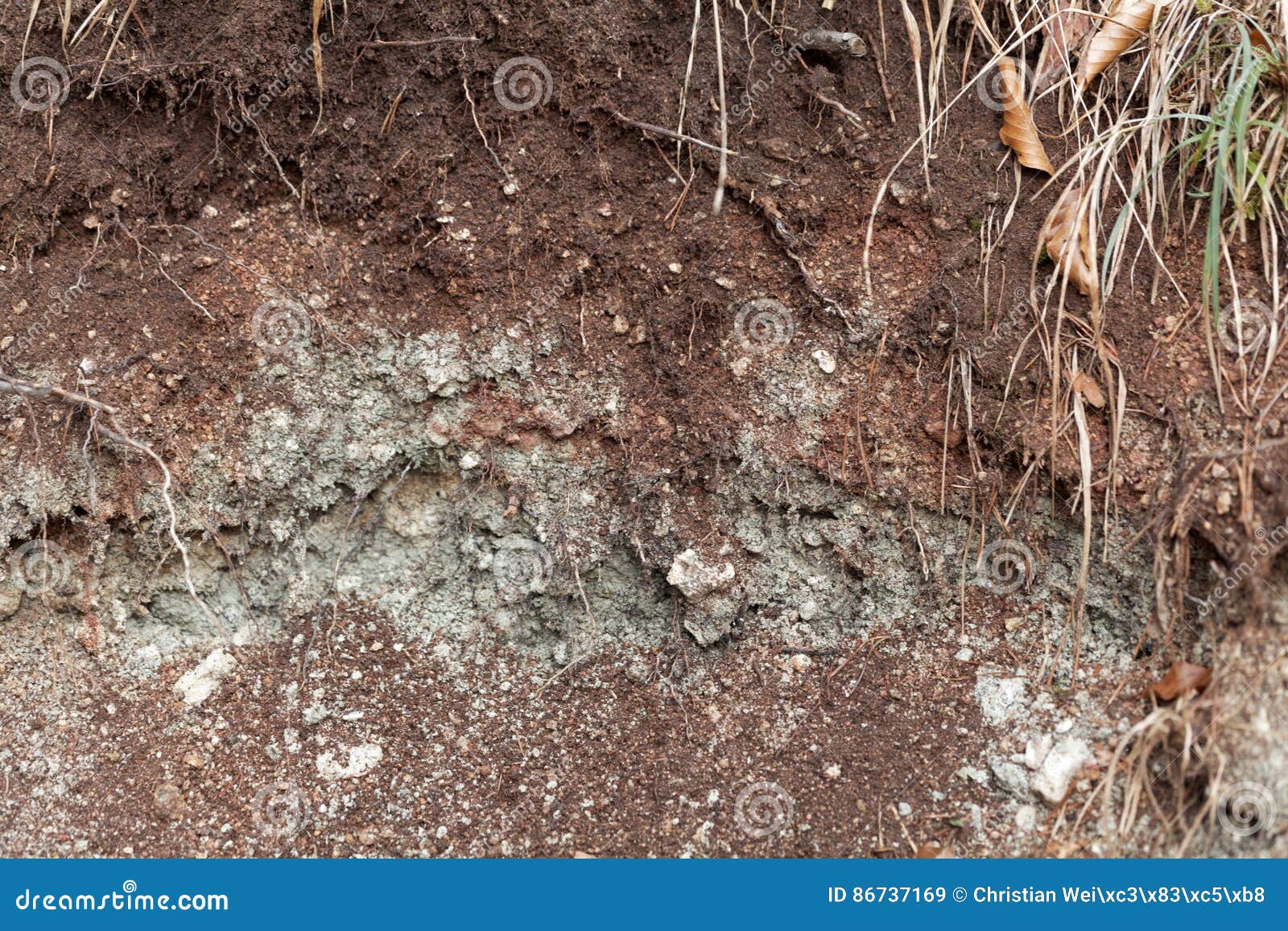 Section of a Carbonate Rich Soil Stock Image - Image of natural, clay ...