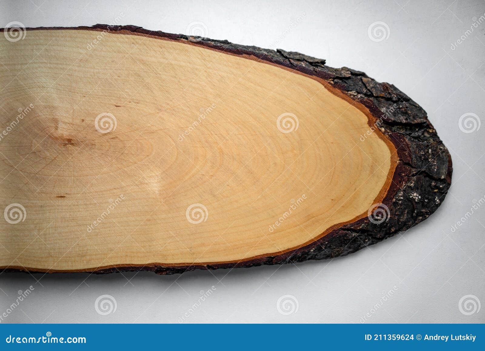 A Section of a Century-old Tree with Rings Inside on White Isolate ...