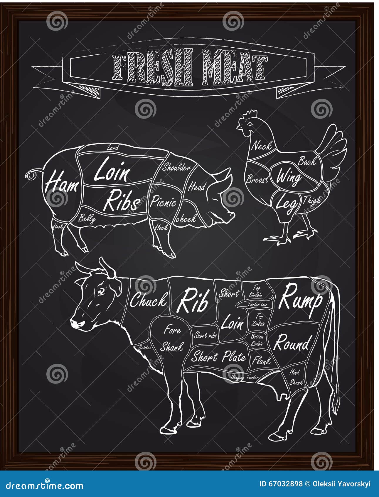 Section Diagram Of A Pig Cow And Chicken Vector Illustration ...