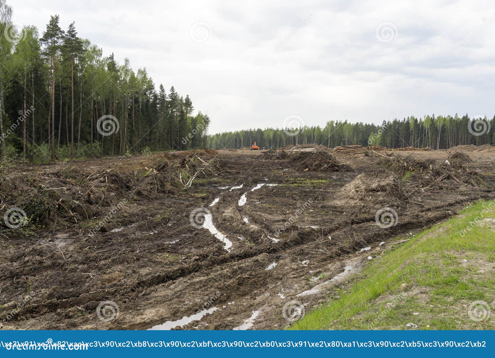 A Section of Forest after Deforestation, Deforestation for Construction ...