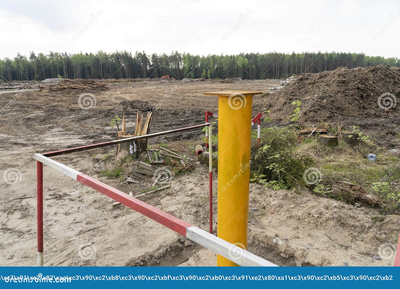 A Section of Forest after Deforestation, Deforestation for Construction ...