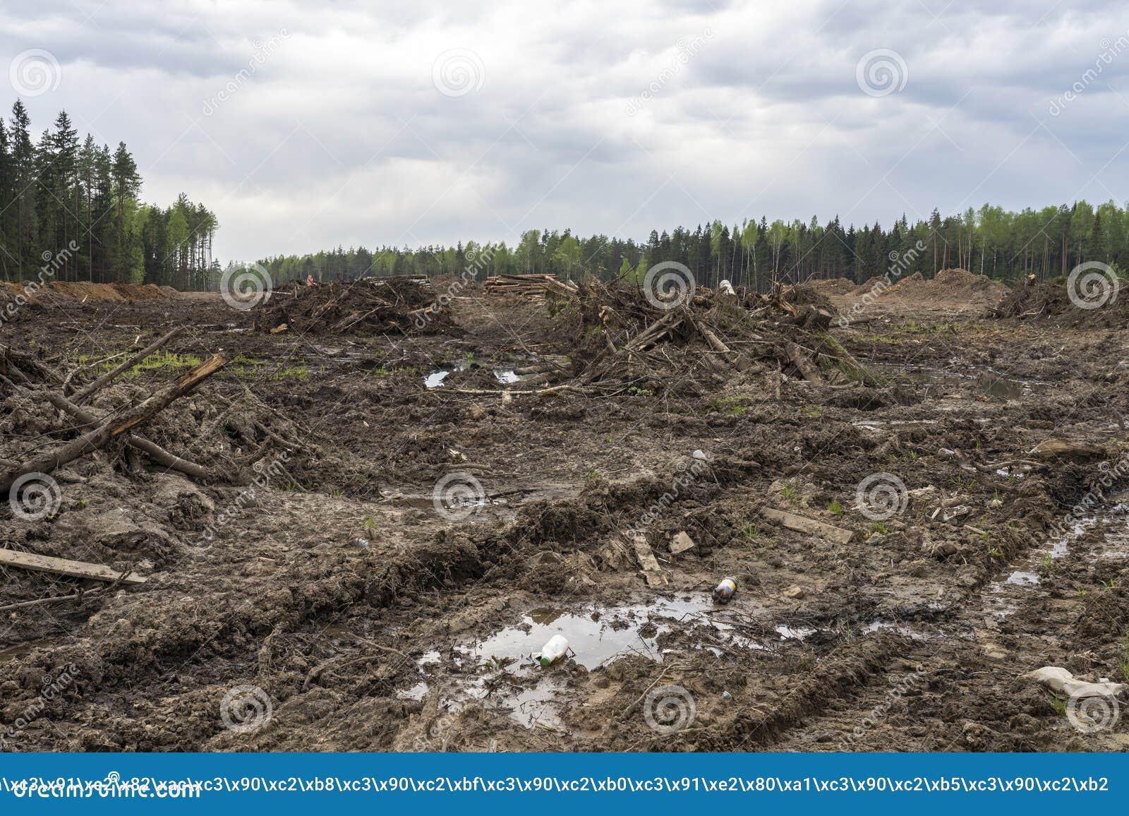 A Section of Forest after Deforestation, Deforestation for Construction ...