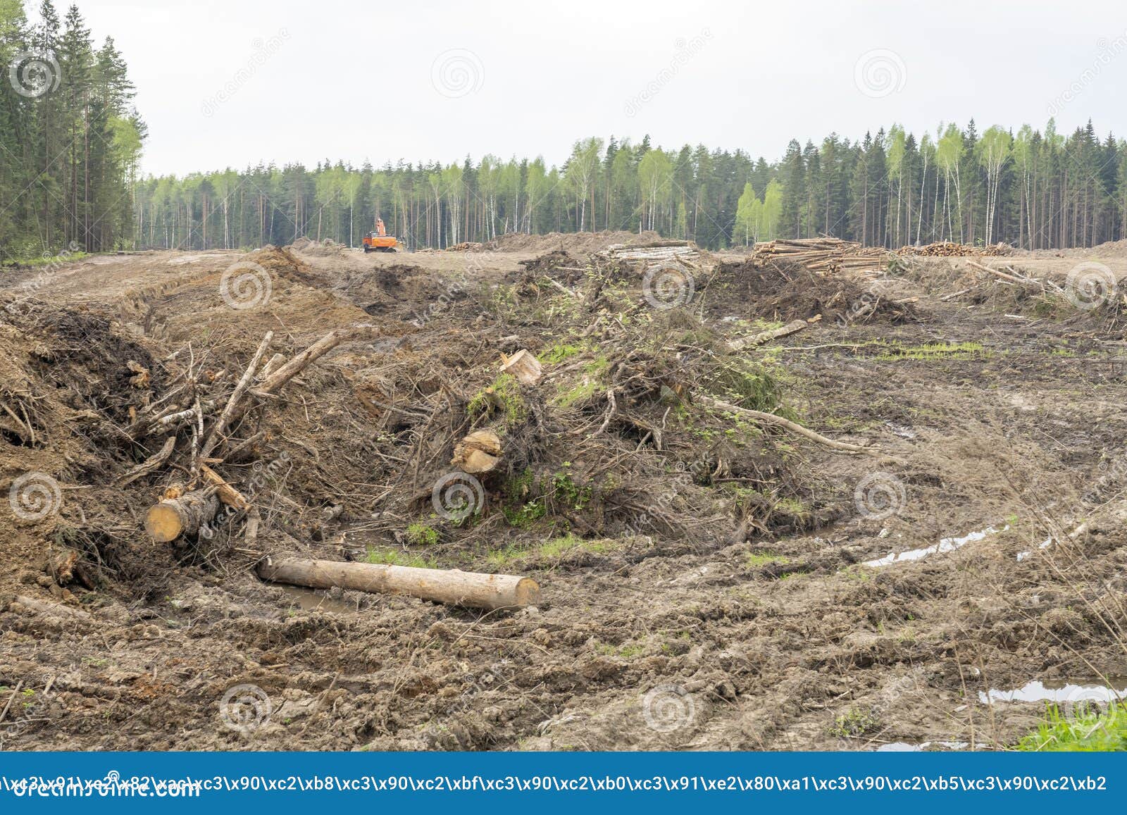 A Section of Forest after Deforestation, Deforestation for Construction ...