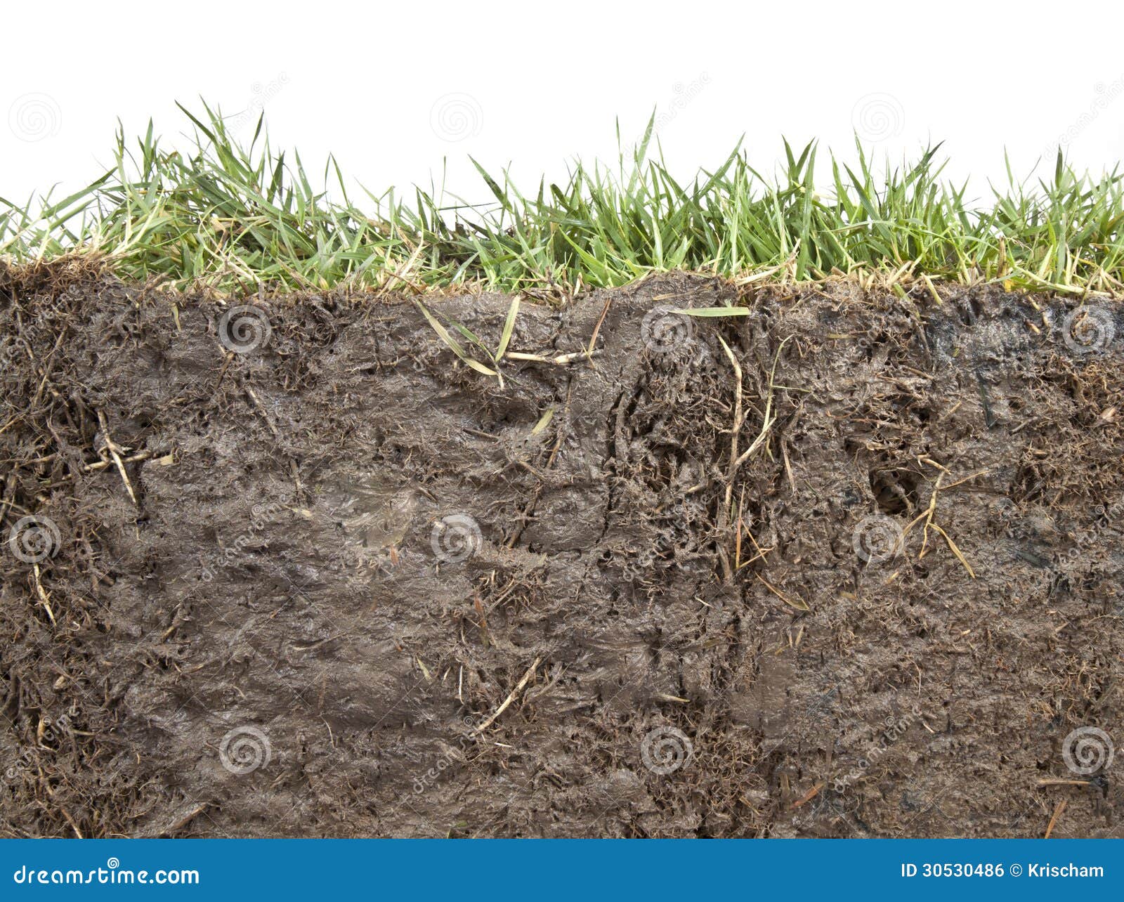 Underground Earth Border Photos - Free & Royalty-Free Stock Photos from ...