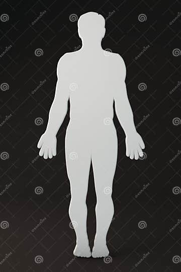 Section of the human body stock illustration. Illustration of anatomy ...