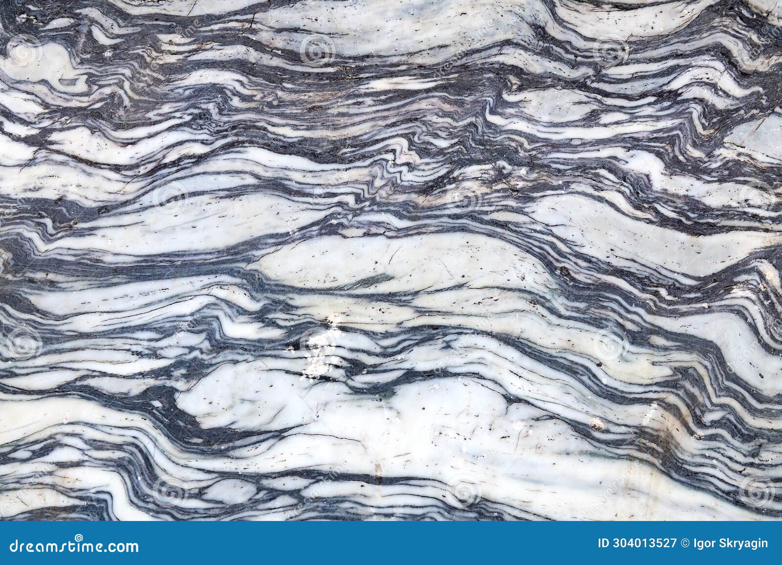 Section of a Marble Slab with a Wavy Texture in Black and White Stock ...