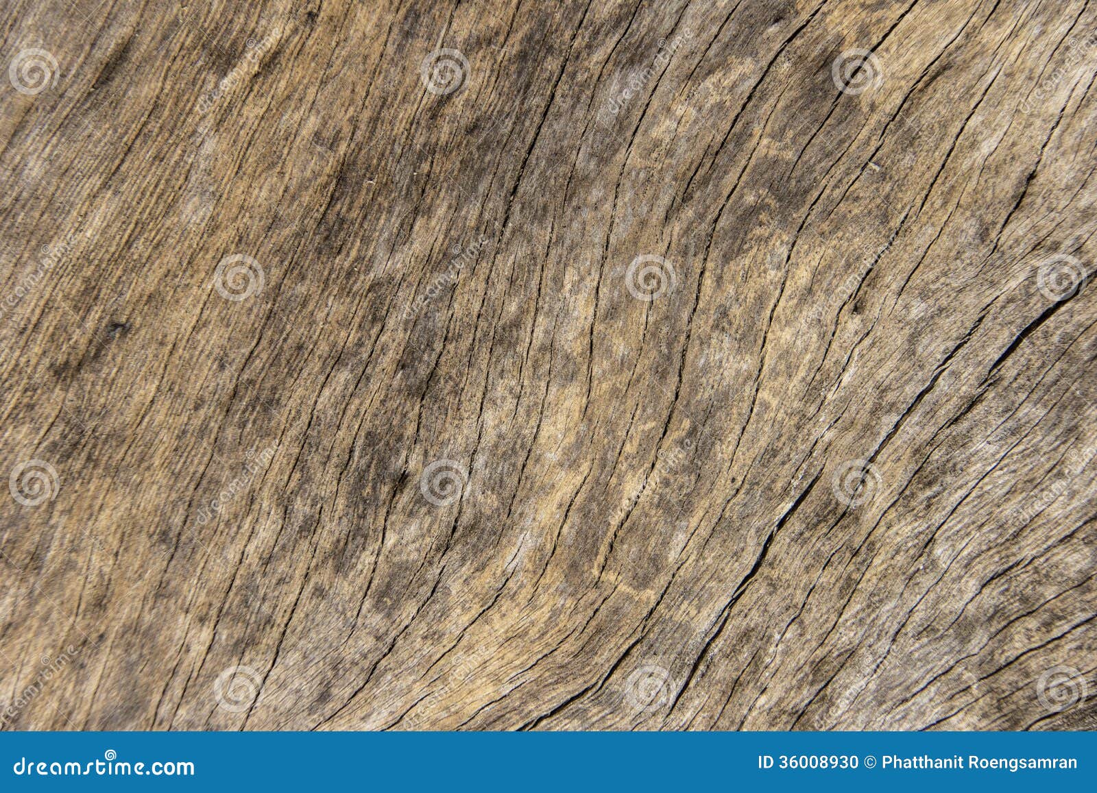 Section of Old Tree , Old Wooden Background and Texture Stock Photo ...