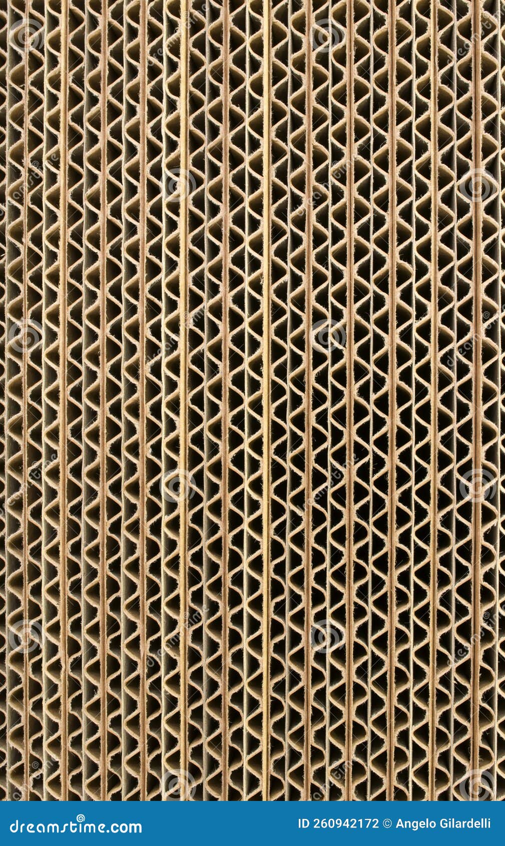 Section of Packing Cartons, Close Up on the Internal Structure of the ...