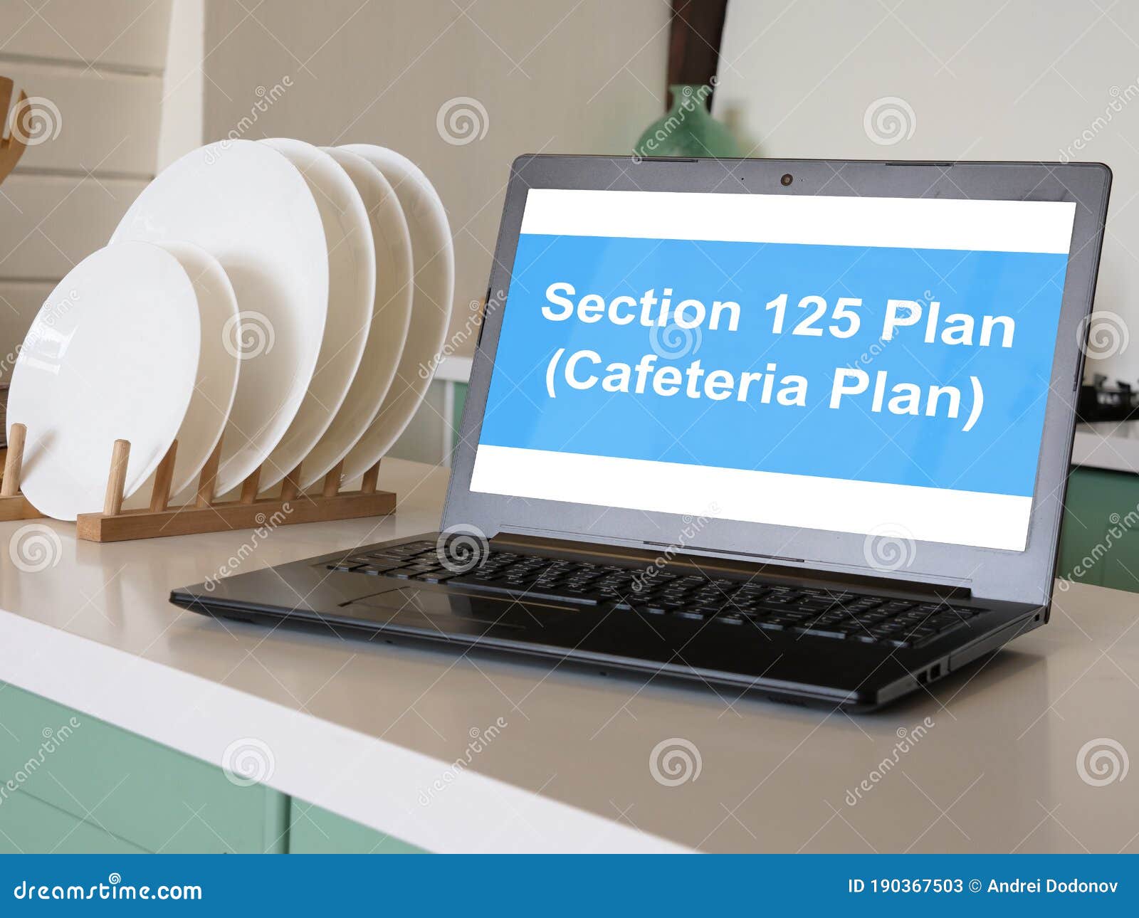 Section 125 Plan Cafeteria Plan is Shown on the Conceptual Business ...