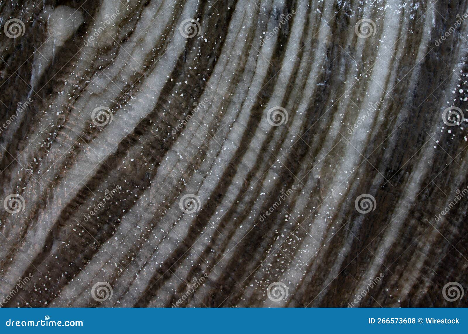 A Section through a Salt Vein Stock Photo - Image of pattern, material ...