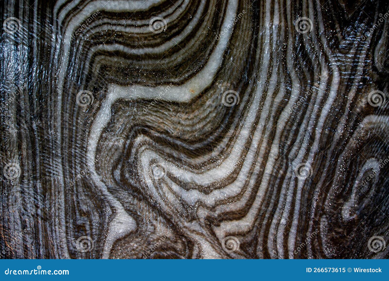 A Section through a Salt Vein Stock Image - Image of decorate, pattern ...