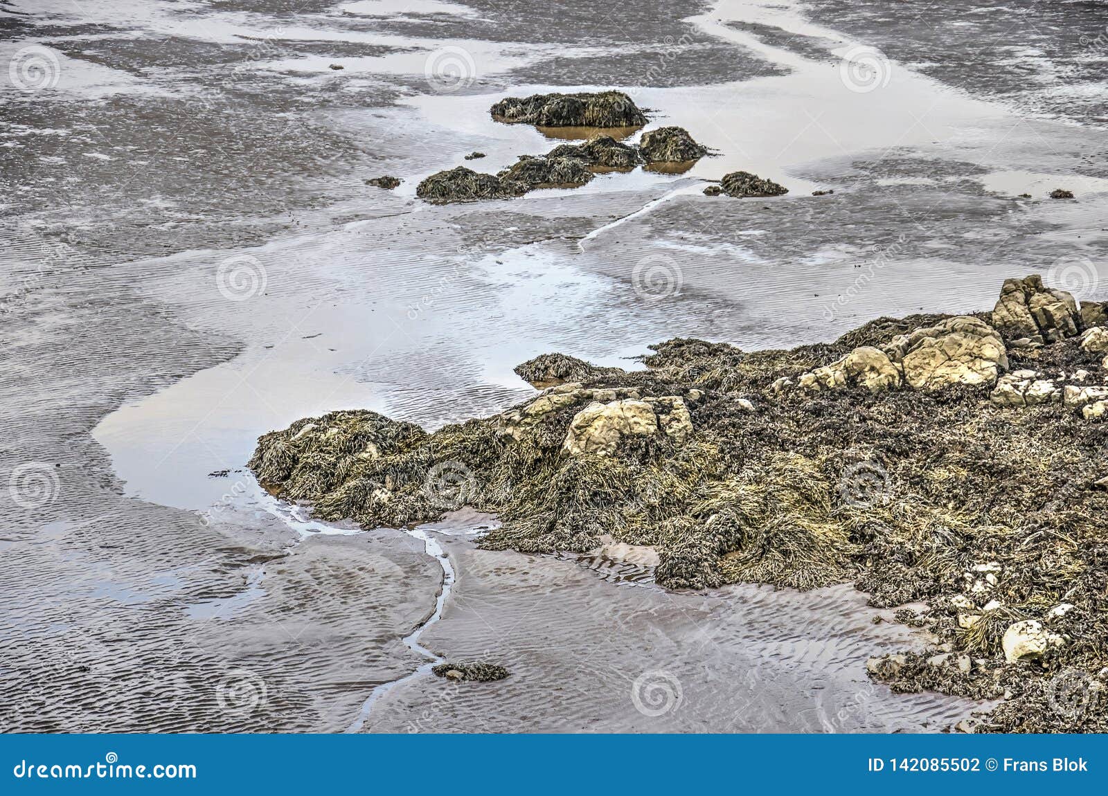 Puddles on the beach stock photo. Image of water, beautiful - 142085502