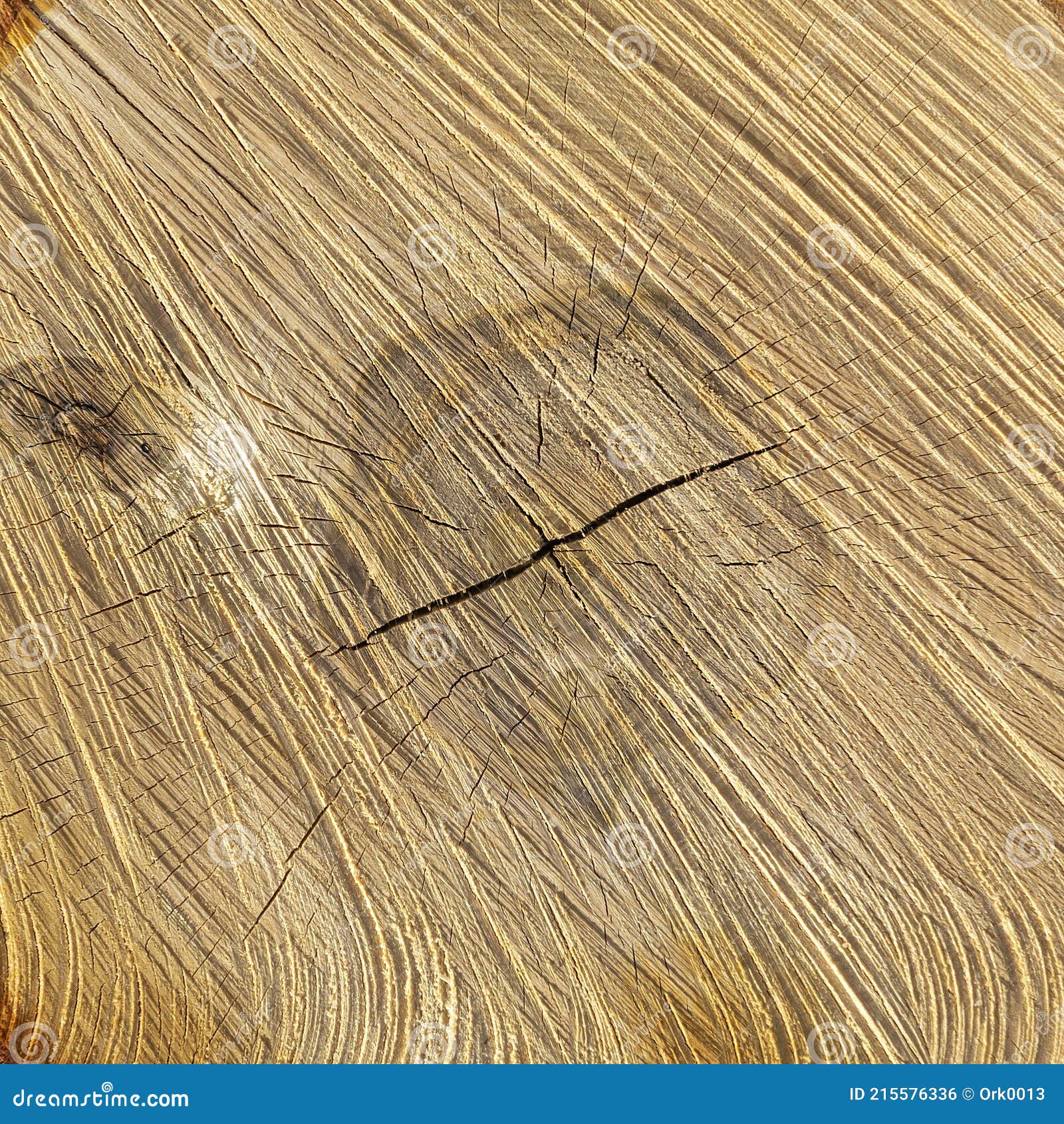 Sawn wood texture stock photo. Image of lumber, pattern - 215576336