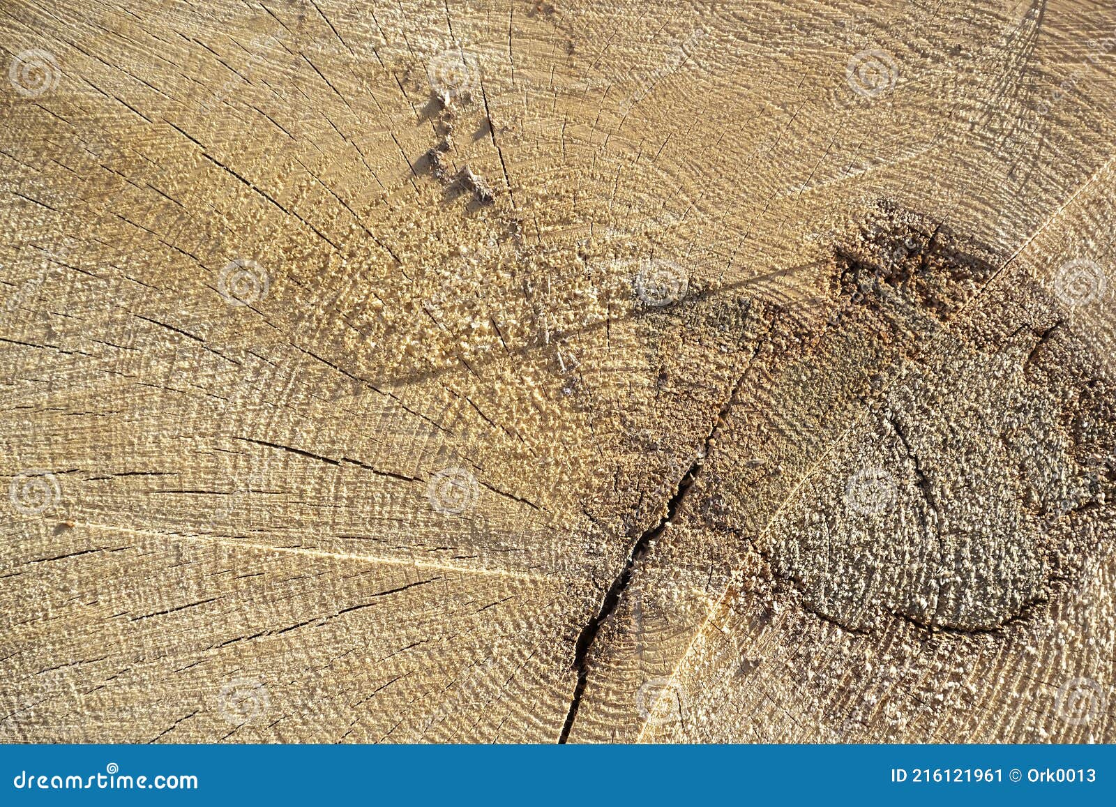 Sawn wood texture stock image. Image of sawn, industry - 216121961