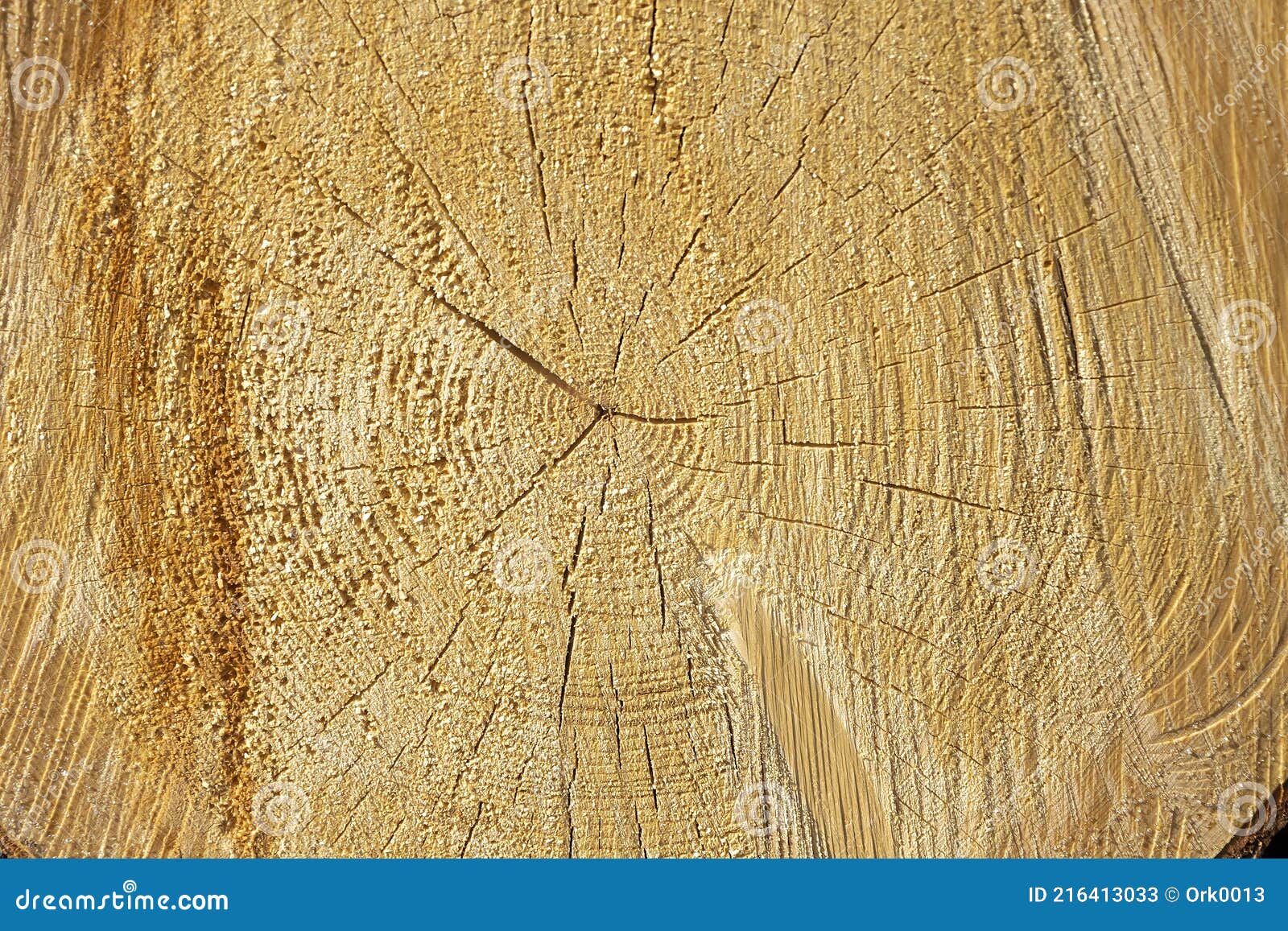 Sawn wood texture stock image. Image of background, industry - 216413033
