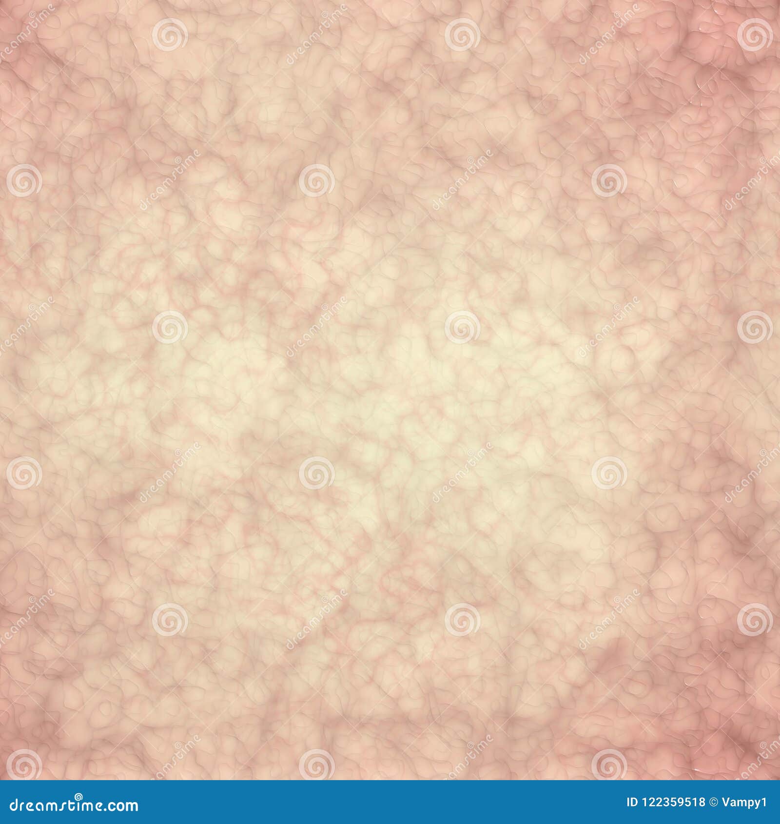 Human Body Skin Textures