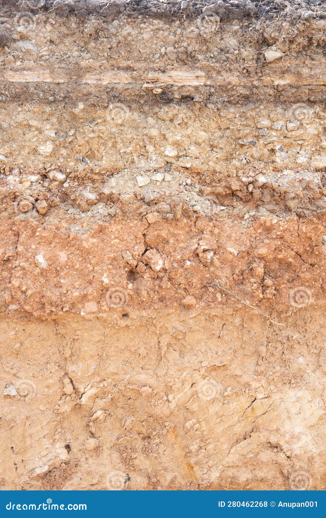 Section of Soil Under the Asphalt Road Stock Photo - Image of crust ...