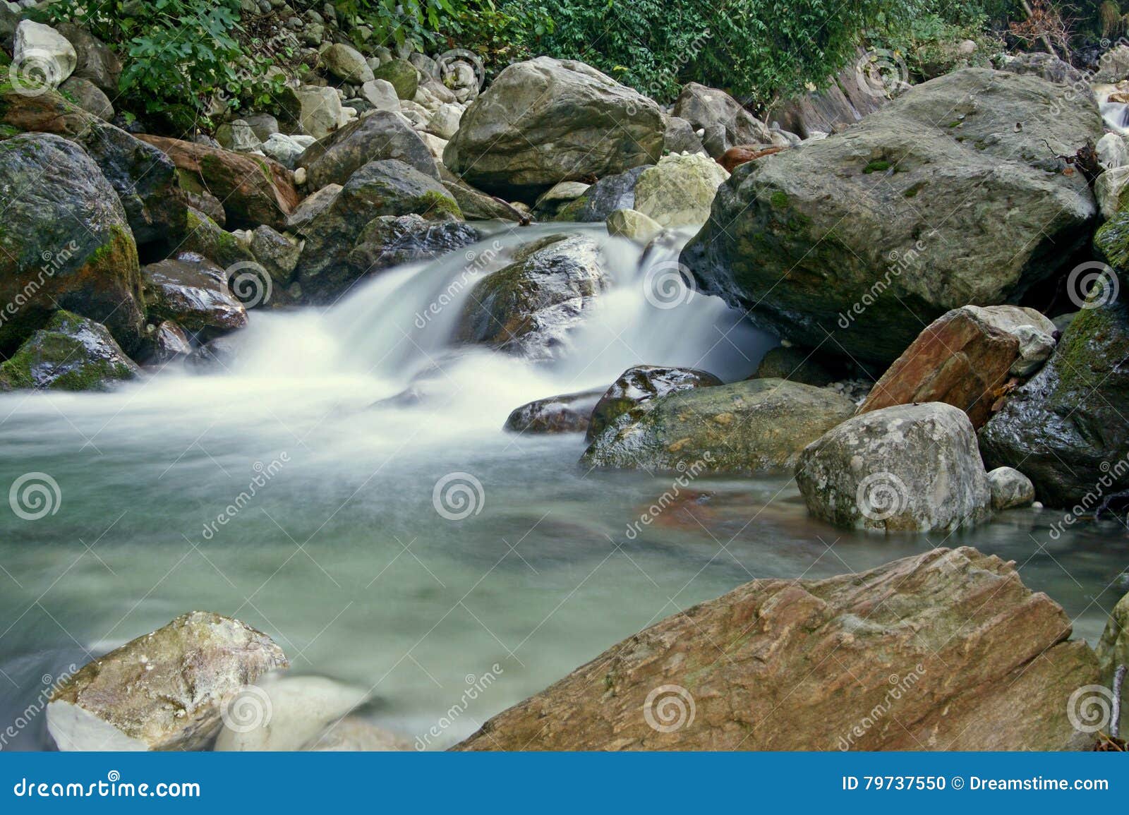 Section of a stream stock photo. Image of wood, streaming - 79737550
