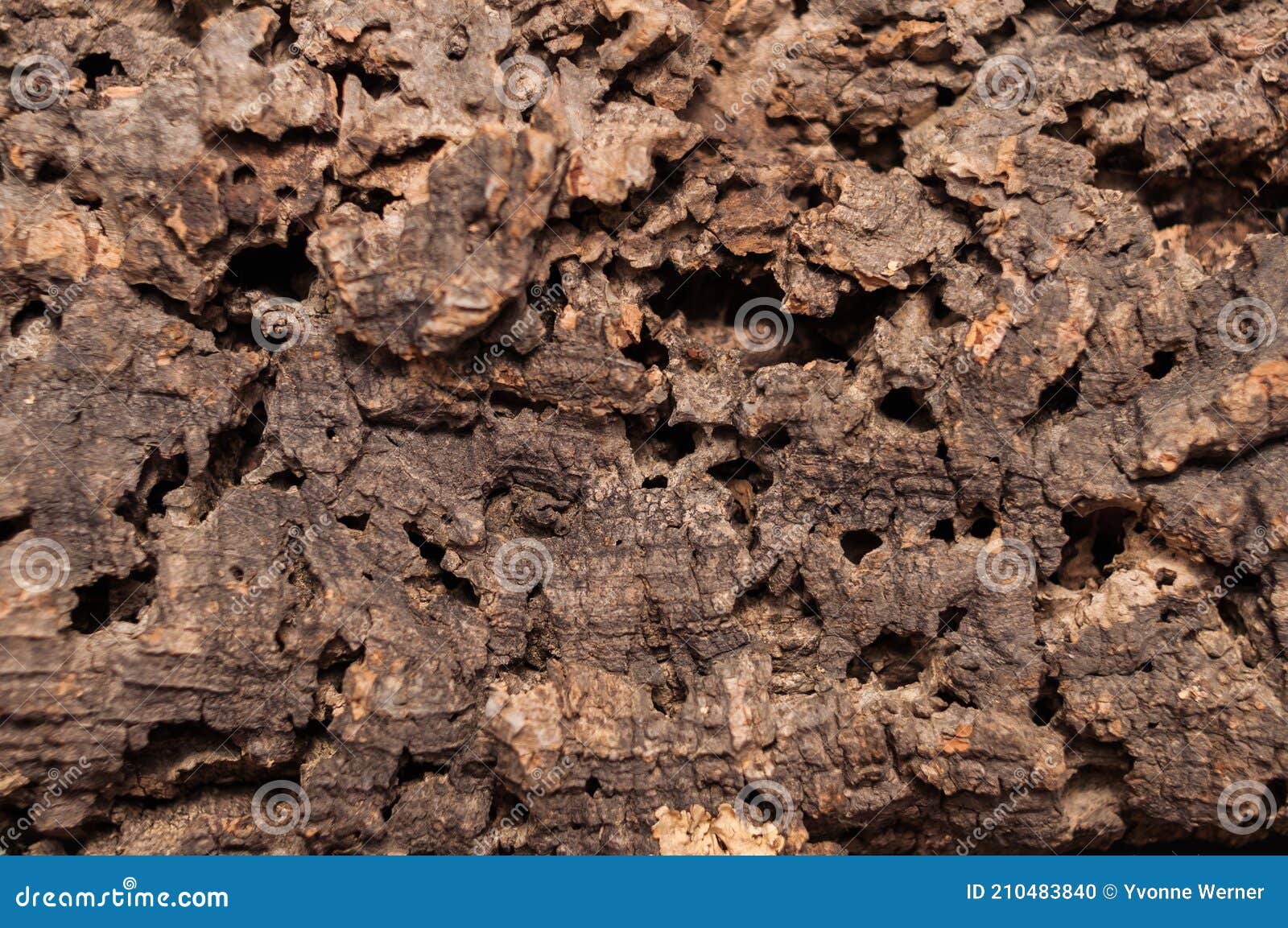 Cork Structure Texture Background Royalty-Free Stock Photography ...
