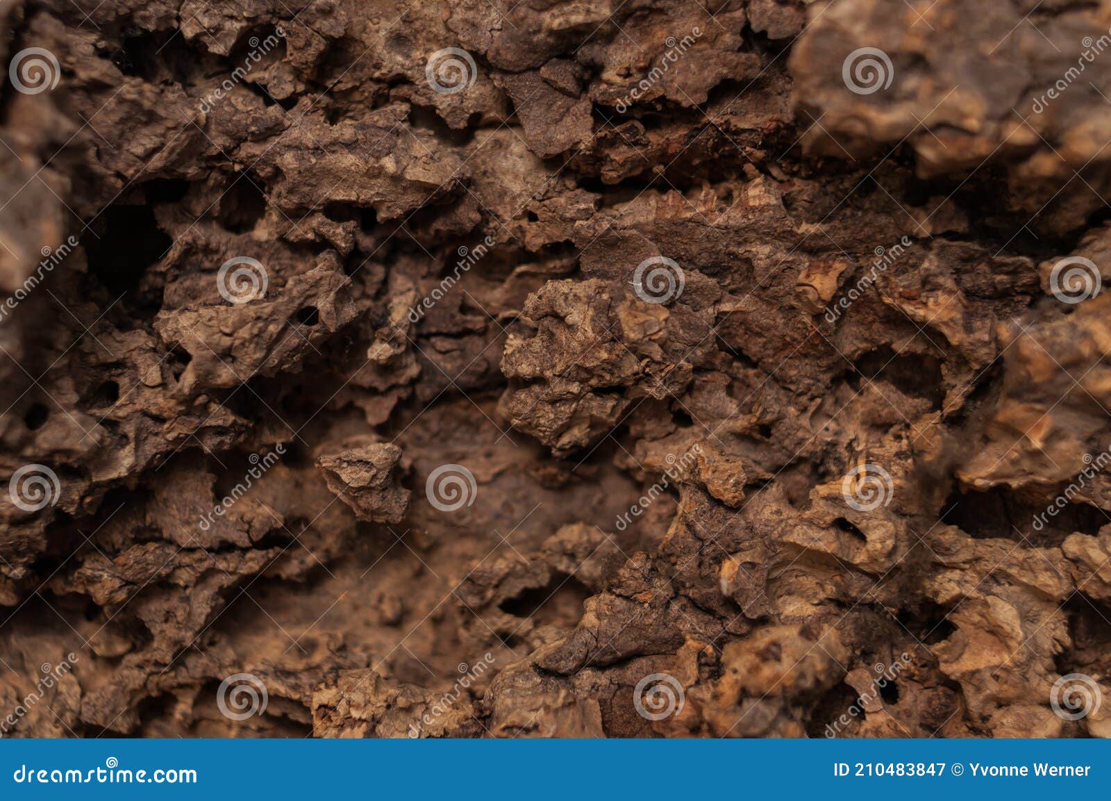 Section of a Surface Structure of Cork Stock Image - Image of natural ...