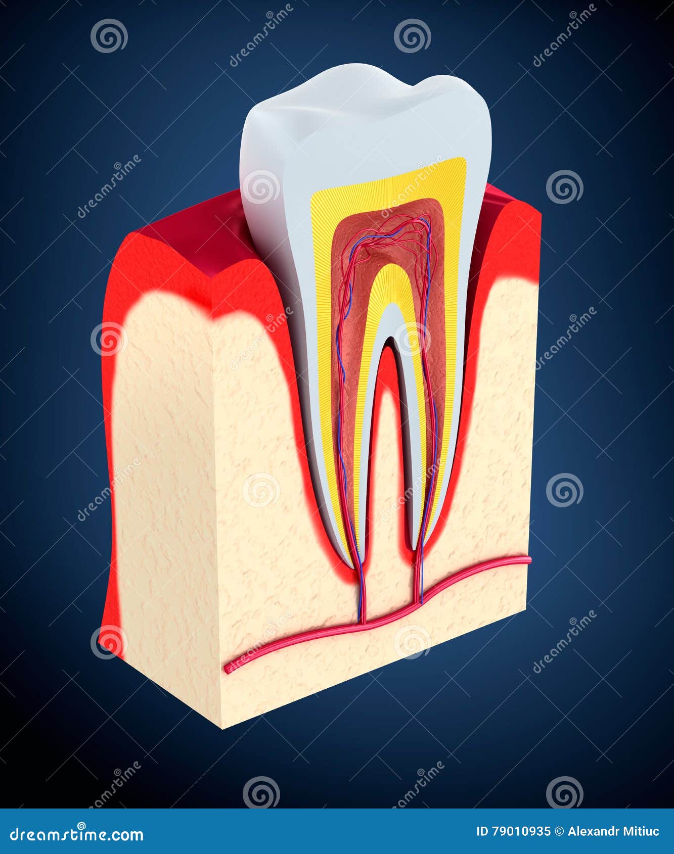 Tooth Pulp Icon, Cartoon Style | CartoonDealer.com #178870421