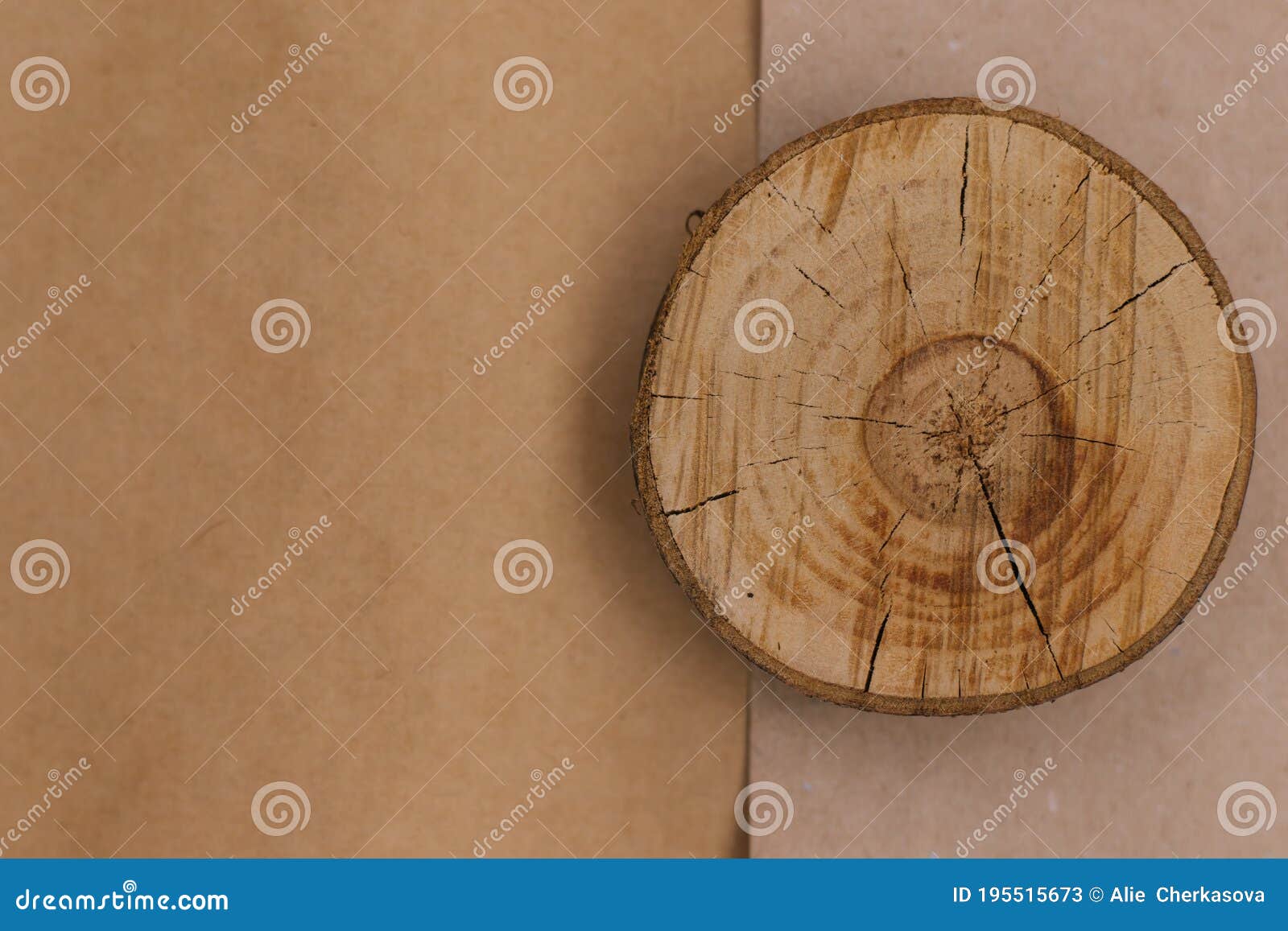 A Section of the Tree Trunk Lies on Two Types of Kraft Paper. Eco ...