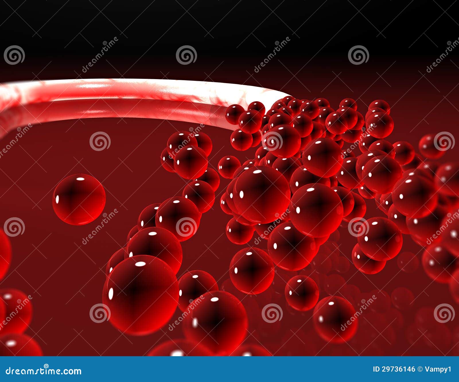 Section of a Vein and Red Blood Cells Stock Illustration - Illustration ...