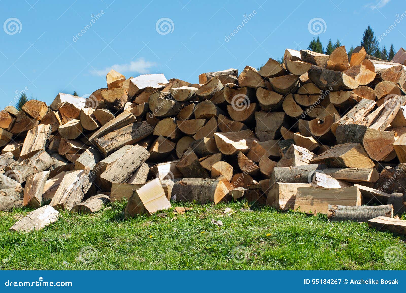 Sectional Drawing Stack of Firewood on the Grass Stock Image - Image of ...