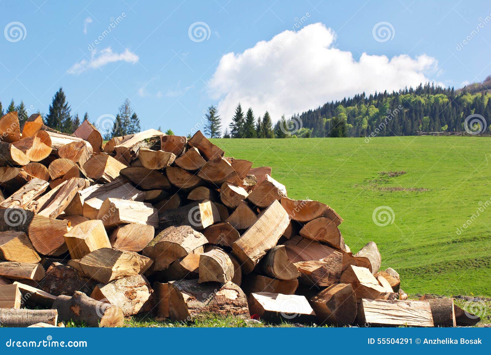 Sectional Drawing Stack of Firewood on the Green Grass Stock Image ...