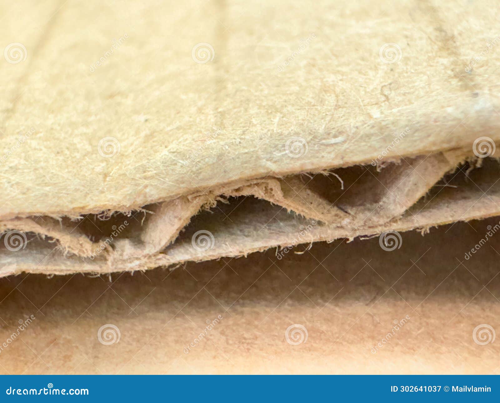 Sectional Structure of Packaging Cardboard Stock Image - Image of board ...