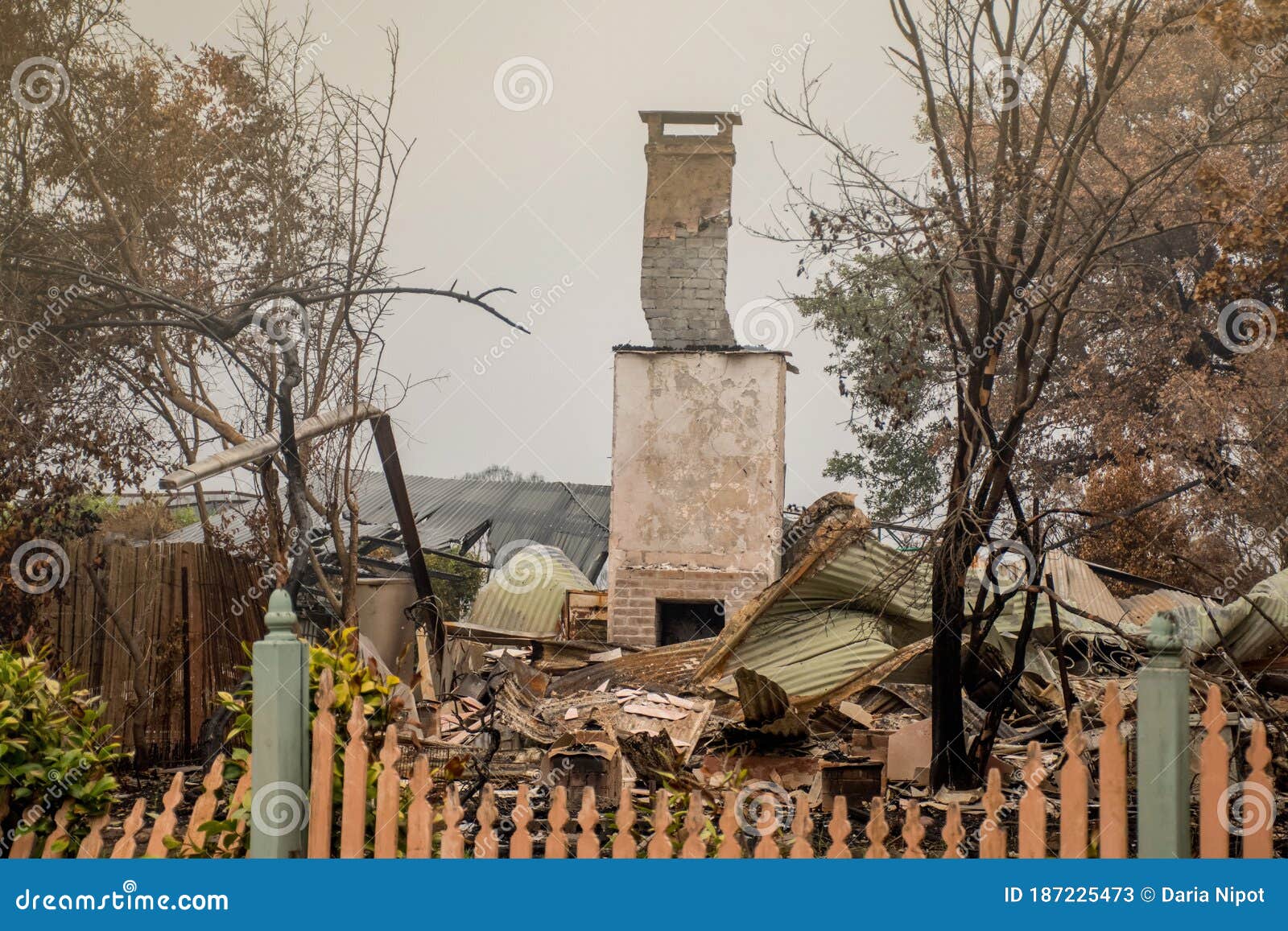 Secuelas De Incendios Forestales En Australia Una Chimenea Solitaria