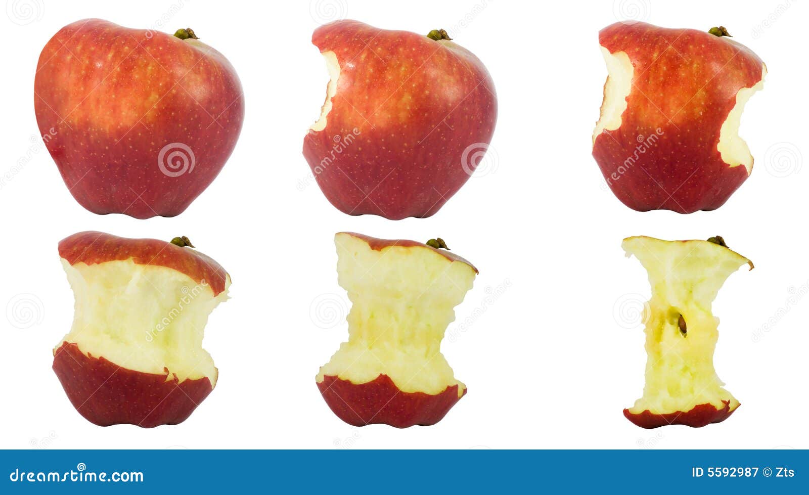 Secuencia De Una Manzana Que Es Comida Imagen de archivo - Imagen de ...