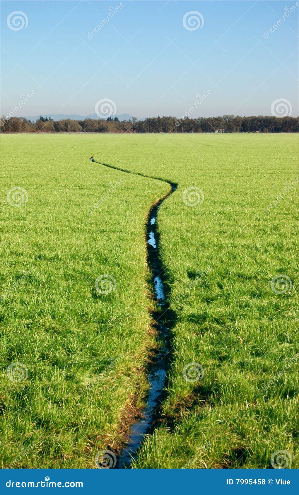 Corriente Estrecha Imagen. Imagen: 7995458