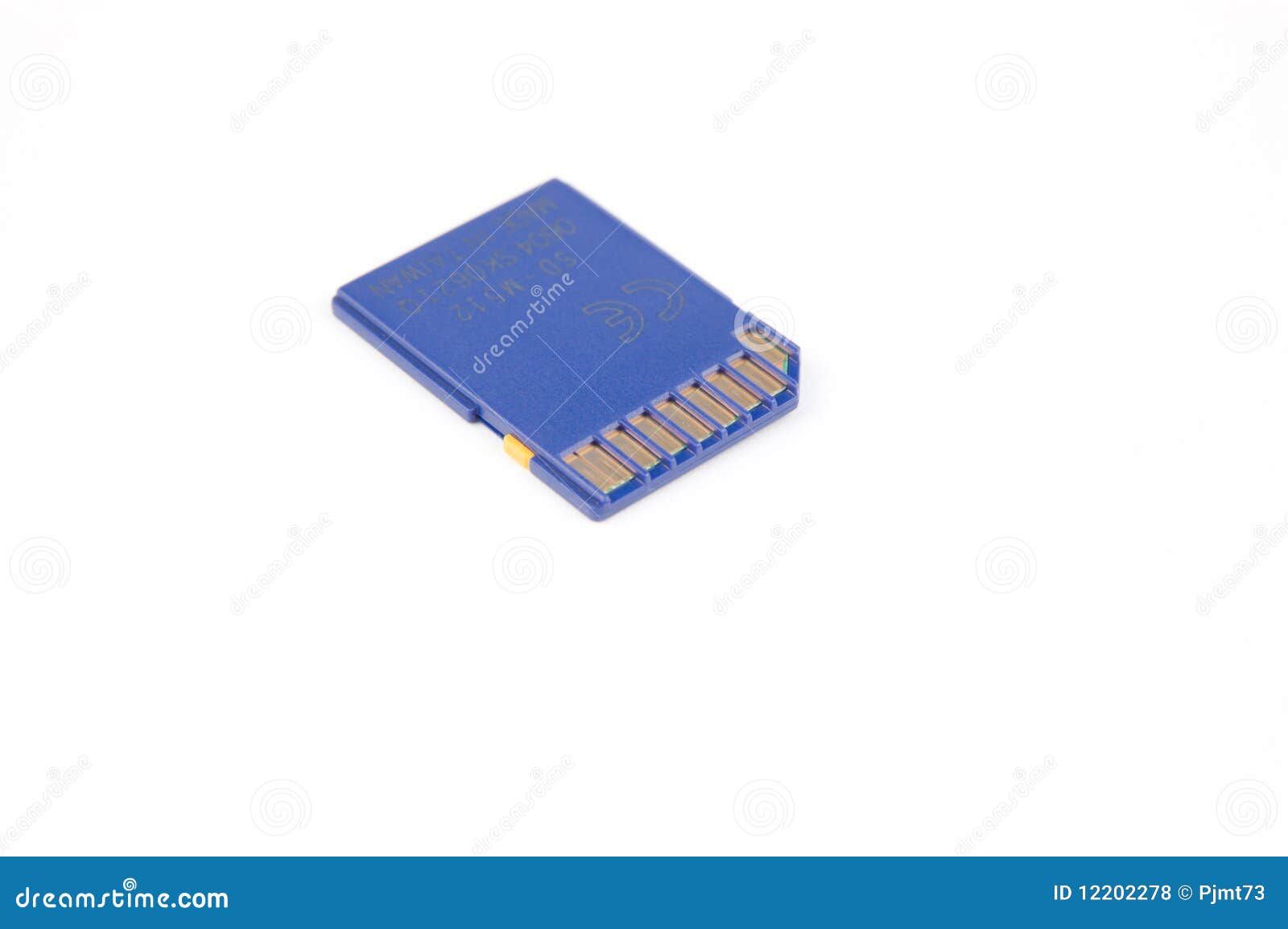 Secure Digital Card 1 stock photo. Image of flash, secure - 12202278