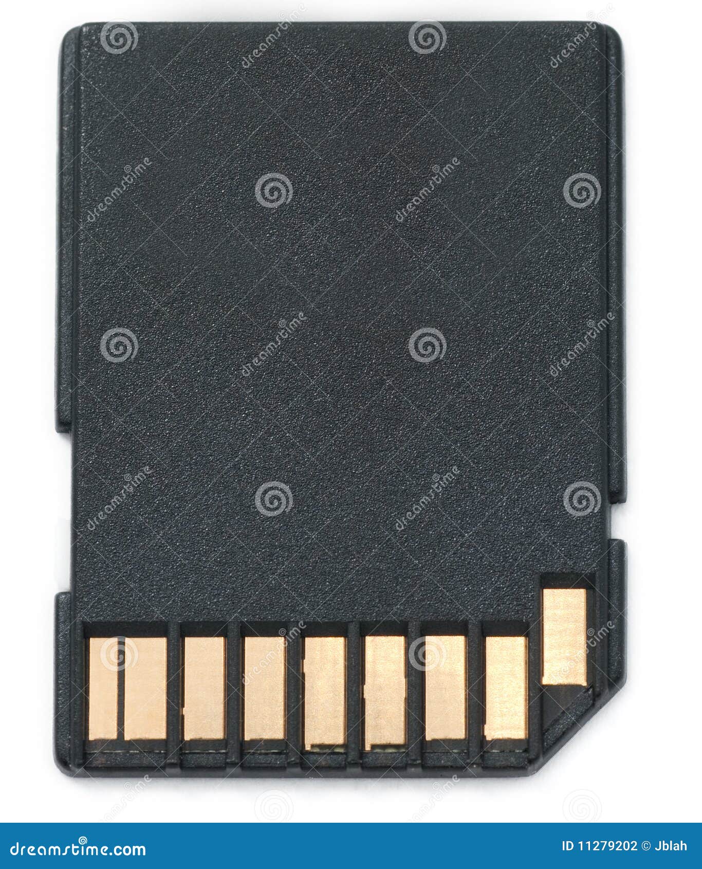 Secure Digital SD Card Stock Photography - Image: 11279202 Secure Digital SD Card Stock Photography - Image: 11279202