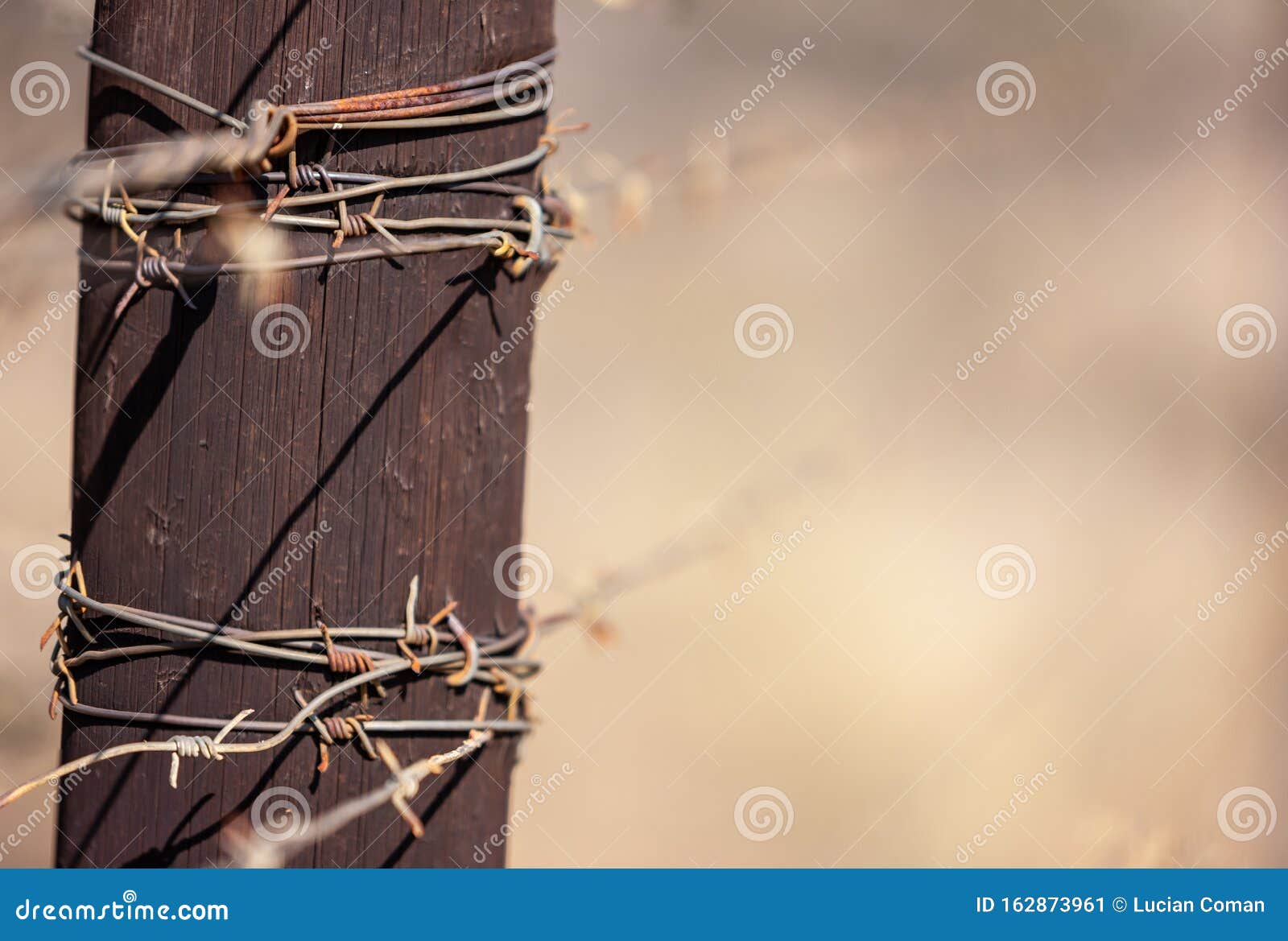 Security barbed wire stock image. Image of inexpensive - 162873961