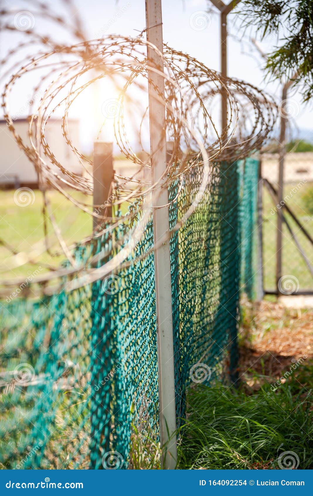 Security barbed wire stock photo. Image of protection - 164092254